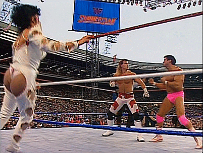 GIF summerslam - animated GIF on GIFER