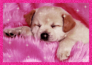 Cutest Pink Puppy Wallpaper I Drew Cookie As A Real Dog... I Thought