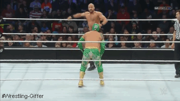 GIF sort of - animated GIF on GIFER