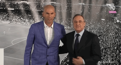GIF zinedine zidane - animated GIF on GIFER