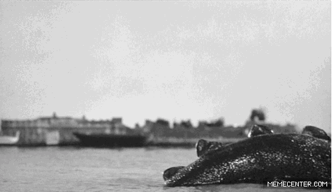 Behemoth GIF - Find on GIFER