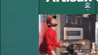 Mlb angels GIF - Find on GIFER