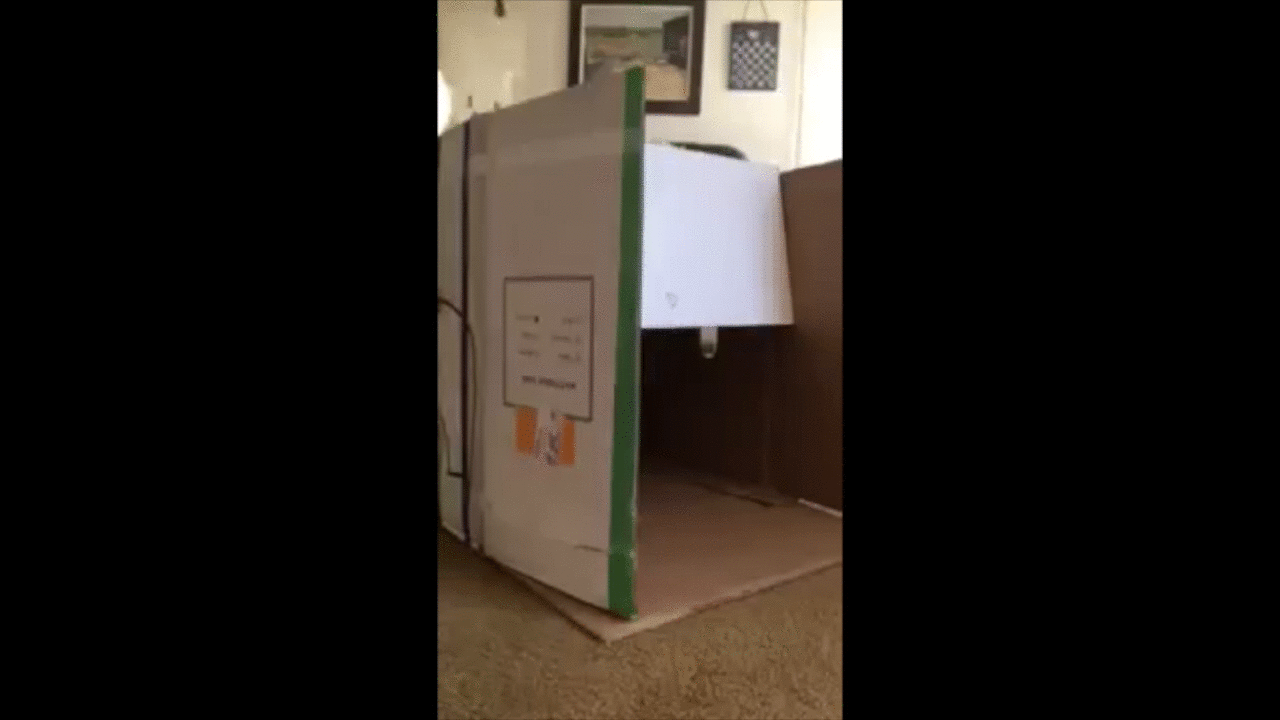 Casper hollmarieroden crianças GIF - Encontrar em GIFER