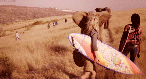GIF explore travel elephant - animated GIF on GIFER