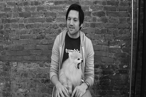 Dog animals sitting GIF - Find on GIFER