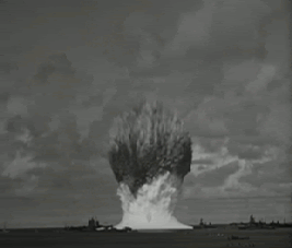 Myth busters GIF - Find on GIFER