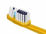 Toothpaste GIF - Find on GIFER