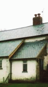 Roof GIF - Find on GIFER