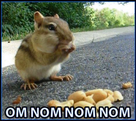 GIF om - animated GIF on GIFER