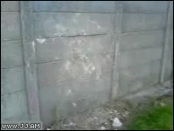 GIF gotcha - animated GIF on GIFER