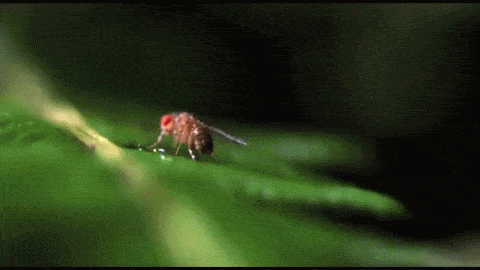 Gotcha GIF - Find on GIFER