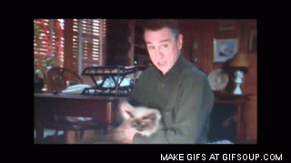 GIF trust - animated GIF on GIFER