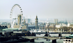 Picture scalia GIF - Find on GIFER