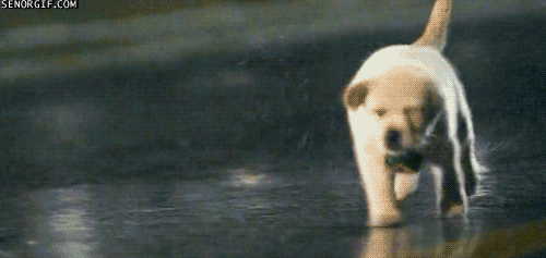 Cute running GIF - Find on GIFER
