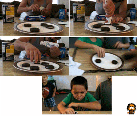 Oreo GIF - Find on GIFER