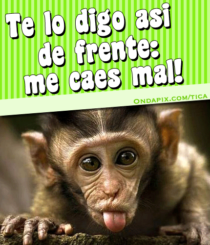 GIF mal - animated GIF on GIFER