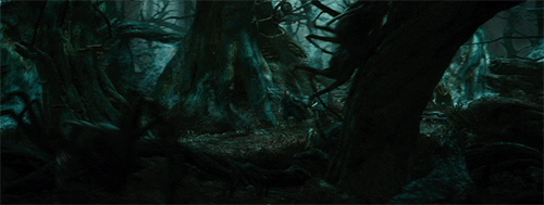GIF movie the hobbit thorin - animated GIF on GIFER