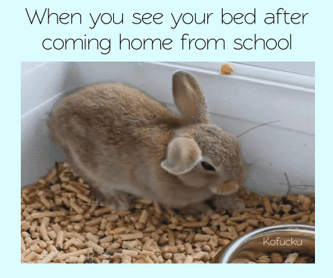 School super silly and funny GIF - Find on GIFER