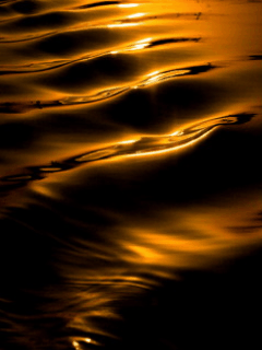 Gold GIF - Find on GIFER