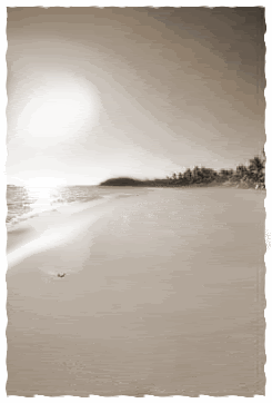 Sand GIF - Find on GIFER