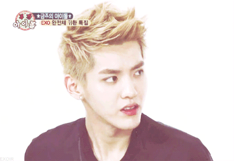 Obsessed GIF - Find on GIFER