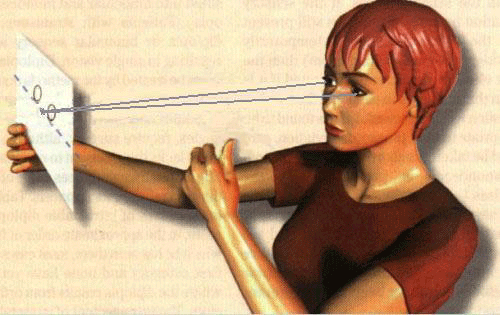 Eyes GIF - Find on GIFER