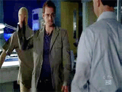 Csi ny GIF - Find on GIFER