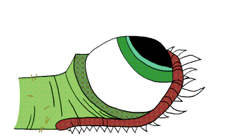 Worm GIF - Find on GIFER