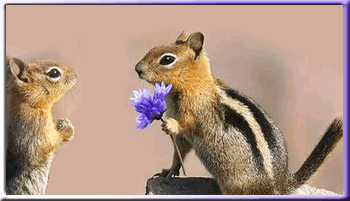 Smack GIF - Find on GIFER