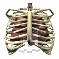 Gif De Respiración