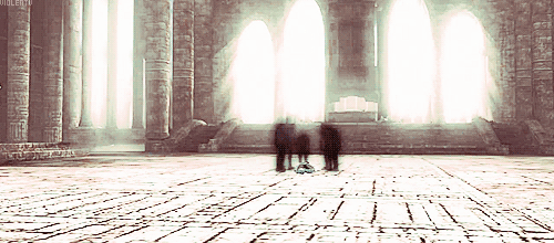 Gaming shadow of the colossus GIF - Find on GIFER