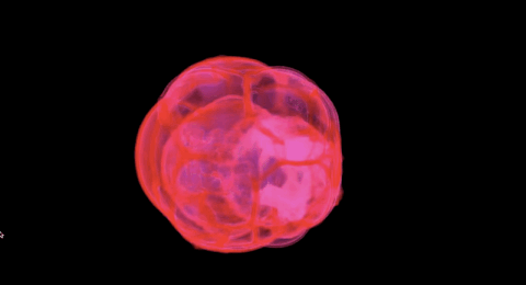 Explosions GIF - Find on GIFER