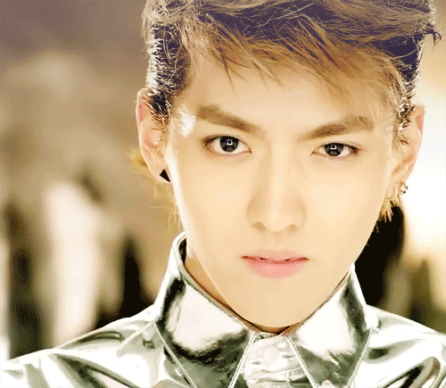 GIF exo - animated GIF on GIFER