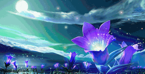 GIF peaceful - animated GIF on GIFER