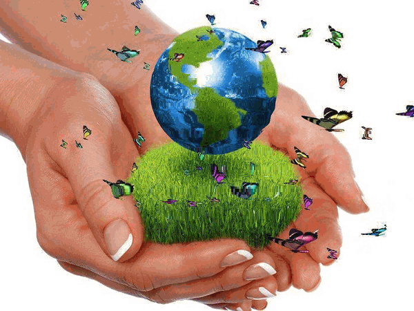 Entomology GIF - Find on GIFER