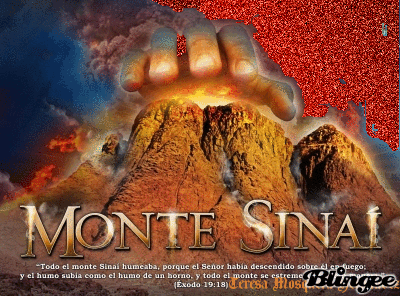 Monte GIF - Find on GIFER