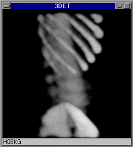 GIF bone - animated GIF on GIFER