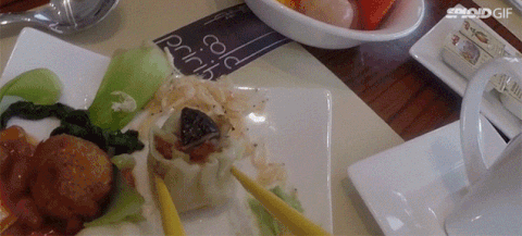 GIF exotic - animated GIF on GIFER