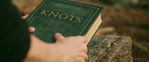 GIF ylvis - animated GIF on GIFER