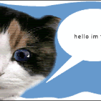 Dookie GIF - Find on GIFER