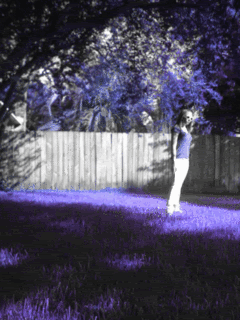 Grass GIF - Find on GIFER