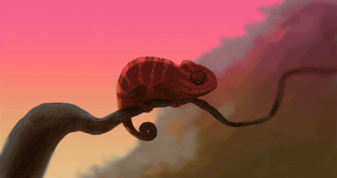 Chameleon GIF - Find on GIFER