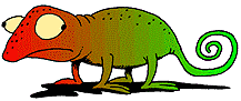 GIF chameleon - animated GIF on GIFER