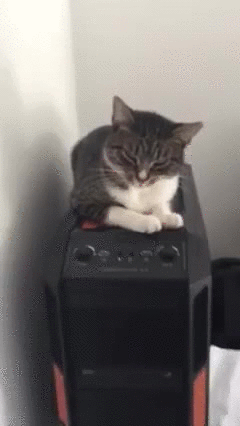 GIF power - animated GIF on GIFER