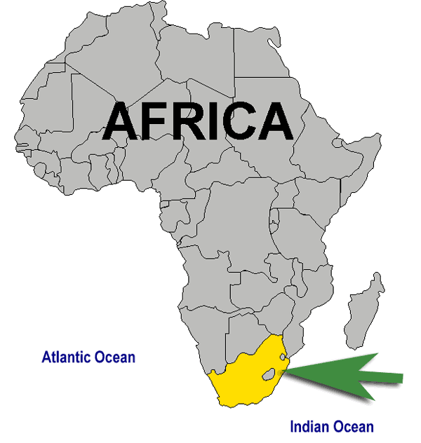 Africa GIF - Find on GIFER
