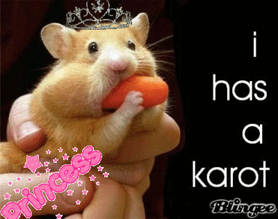 Carrot GIF - Find on GIFER