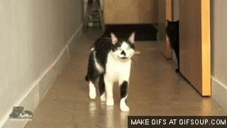 Soon GIF - Find on GIFER