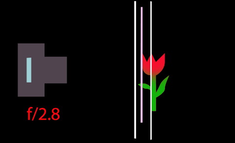 Field GIF - Find on GIFER