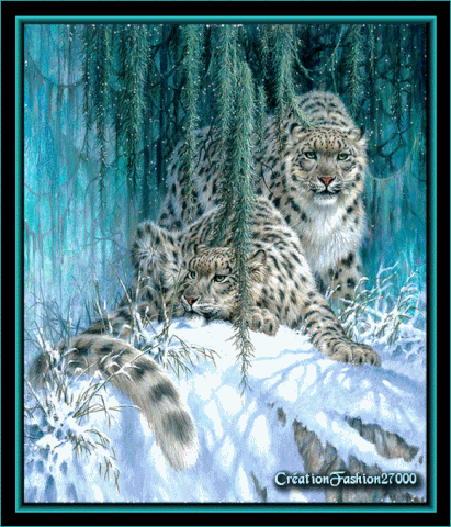 Leopard GIF - Find on GIFER