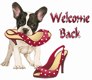 Back GIF - Find on GIFER
